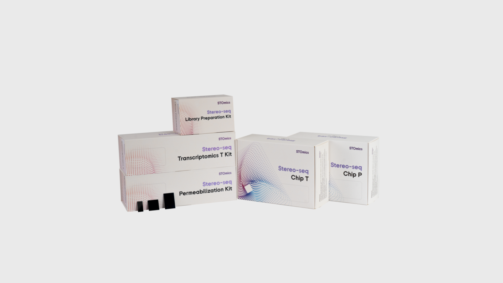 Transcriptomics Large Chip Design - STOmics