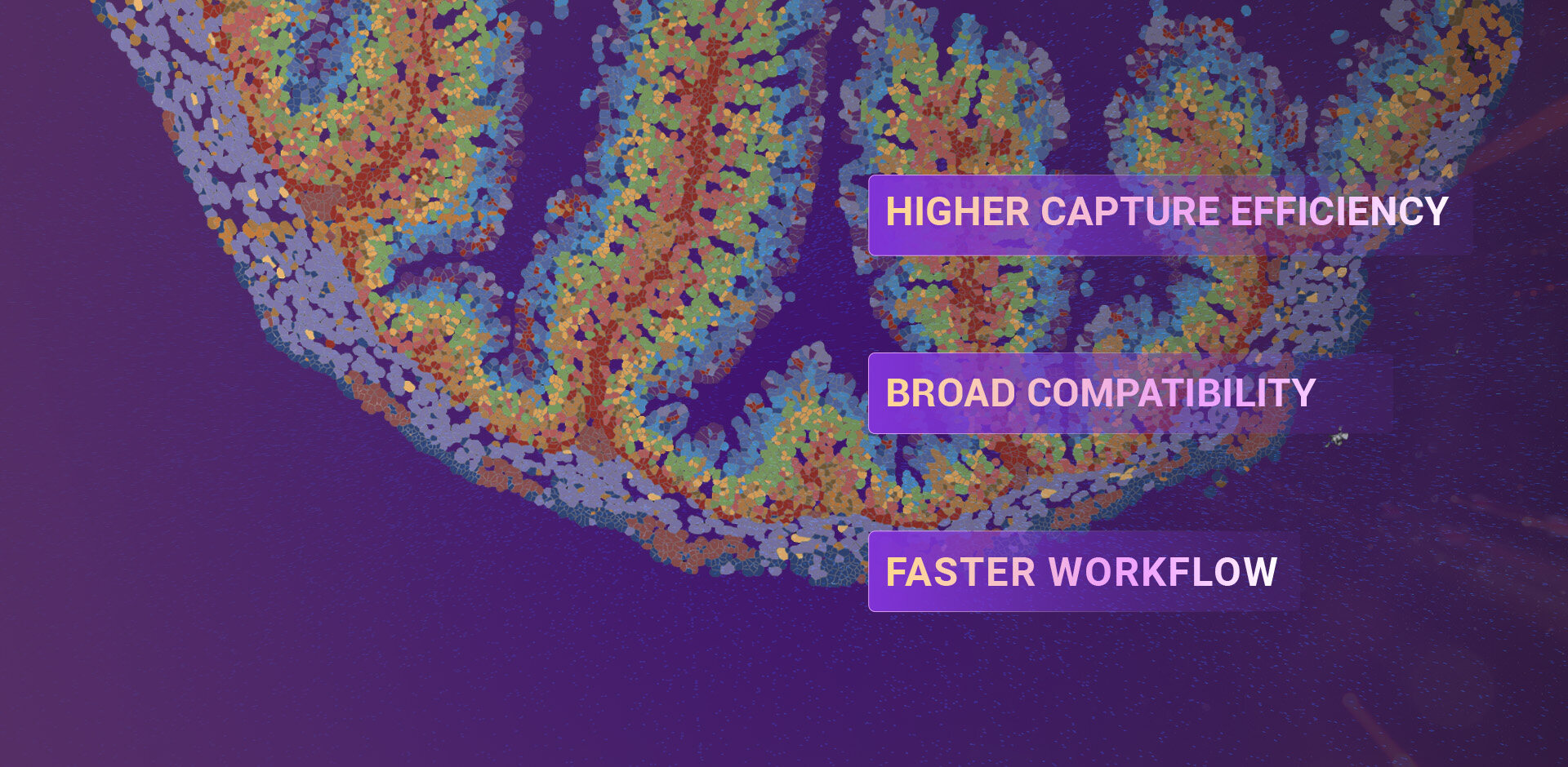 STOmics Stereo-seq | Advanced Spatial Multi-omics Technology