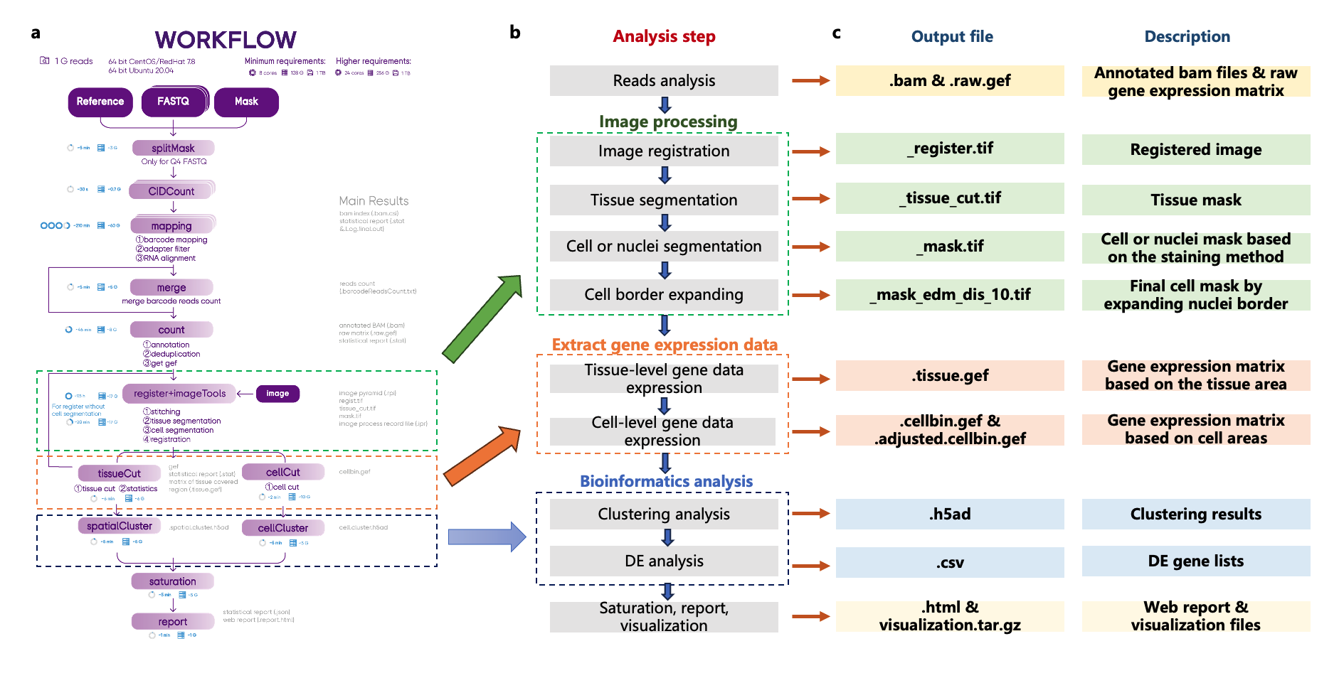 A Practical Guide to SAW Output Files for Stereo-seq - STOmics