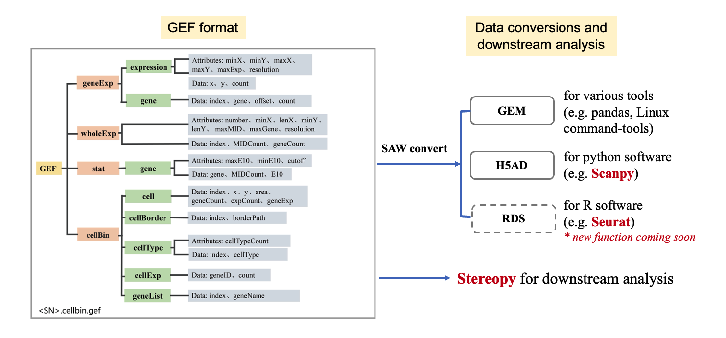 A Practical Guide to SAW Output Files for Stereo-seq - STOmics