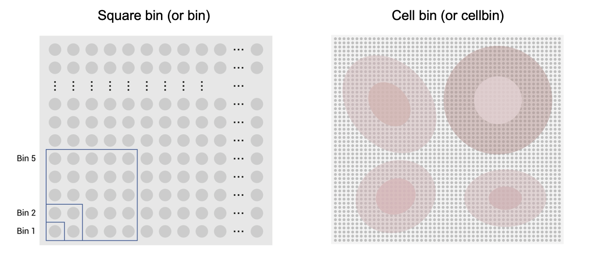 CellBin | an image processing pipeline - STOmics
