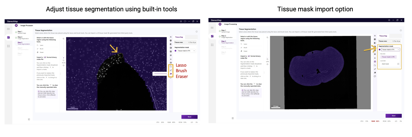 Stereo-seq Image Processing: Troubleshooting Common Analysis Challenges ...