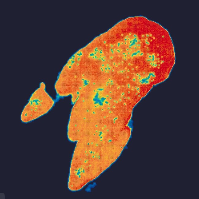 Stereo-CITE Proteo-Transcriptomics solution - STOmics