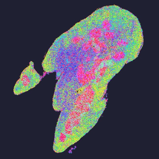 Stereo-CITE Proteo-Transcriptomics solution - STOmics