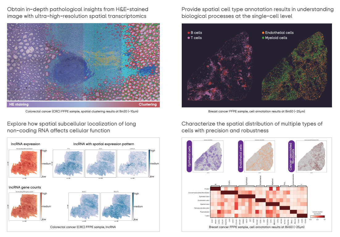 Beat the rush: Early bird special offer for STOmics Stereo-seq OMNI ...