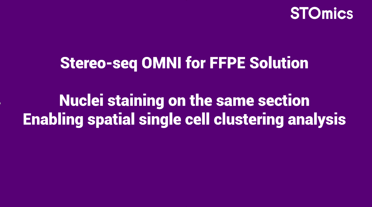 Stereo-seq OMNI for FFPE solution - STOmics