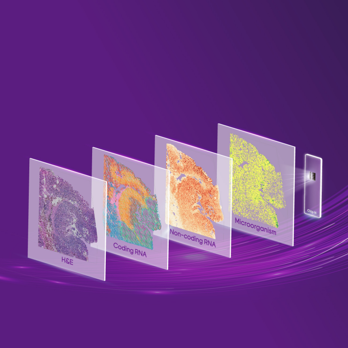 STOmics Stereo-seq | Advanced Spatial Multi-omics Technology