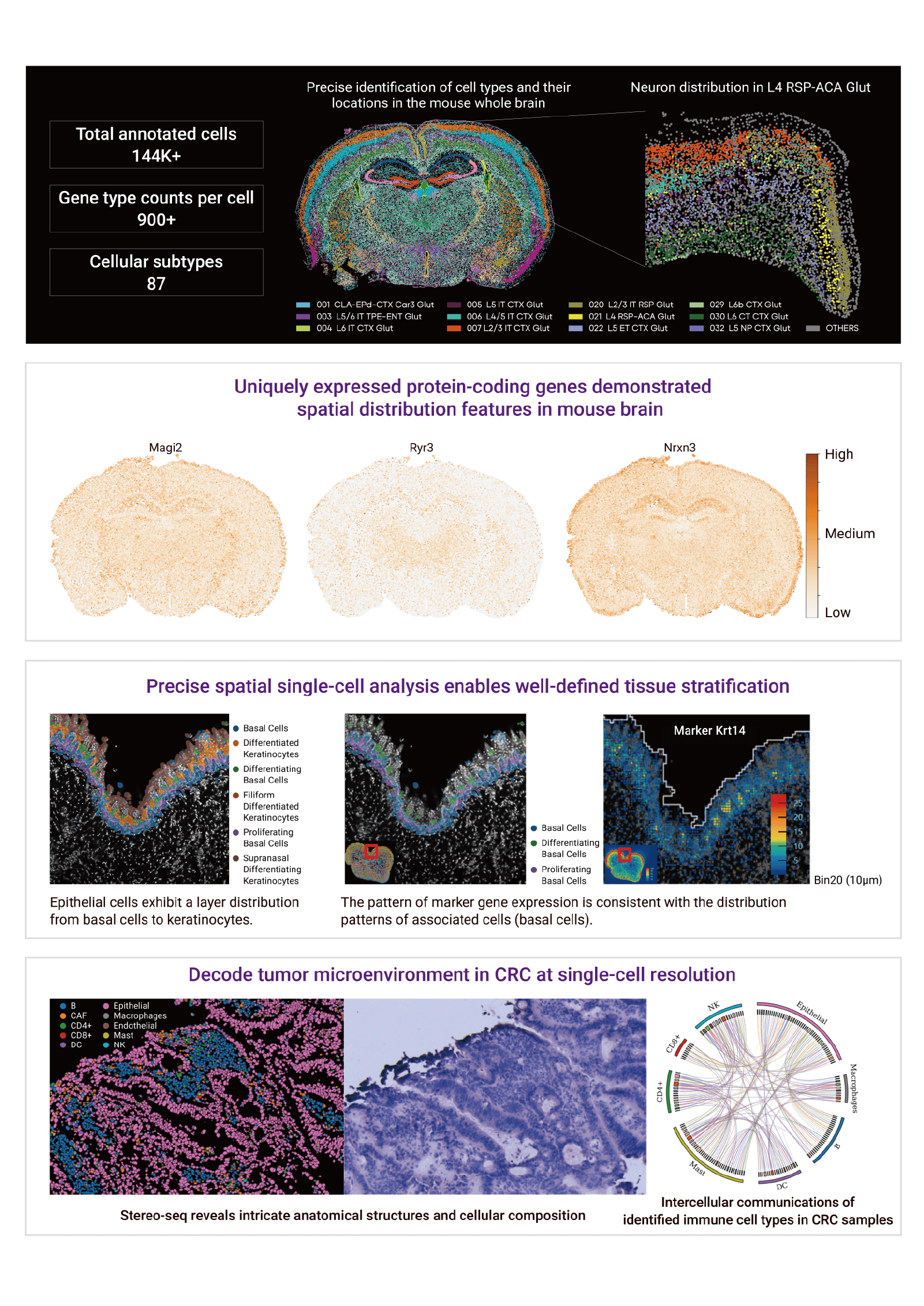 Transcriptomics Solution - STOmics