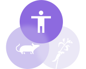 Stereo-seq - STOmics