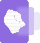 Go Optical - STOmics