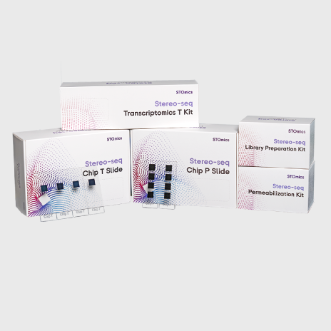 STOmics Stereo-seq | Advanced Spatial Multi-omics Technology